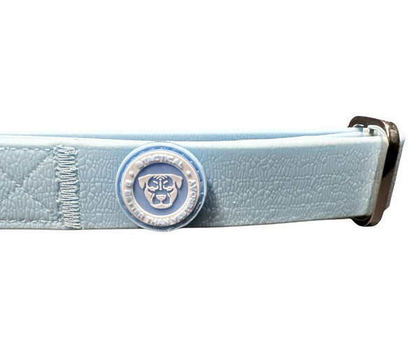 Puppy PVC BTactical™ Collar | Pastel Blue – Winston and Porter
