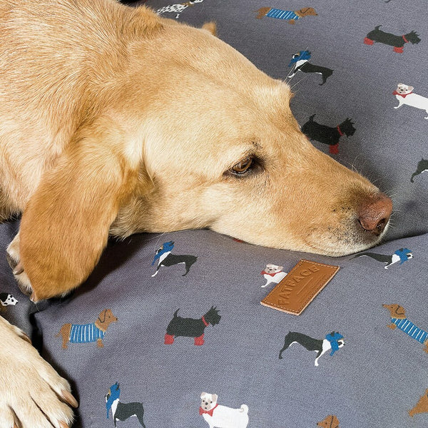 FATFACE Marching Dogs Deep Duvet – Winston and Porter